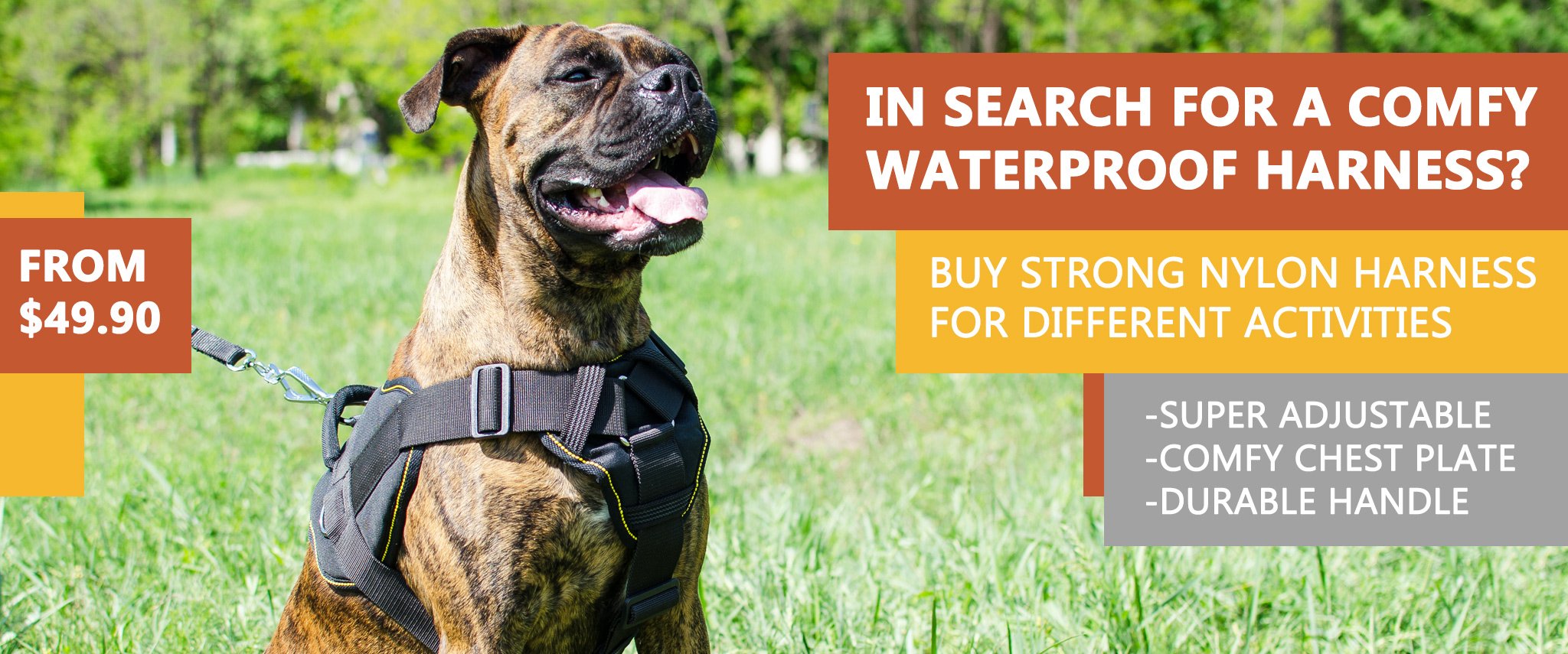 Boxer dog harness, Boxer dog muzzle, Boxer dog collar